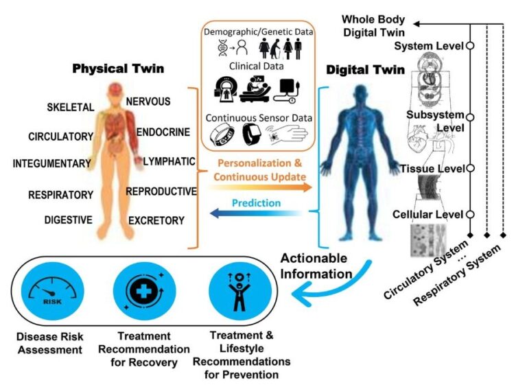 India avanza hacia la medicina predictiva con un gemelo digital humano ...