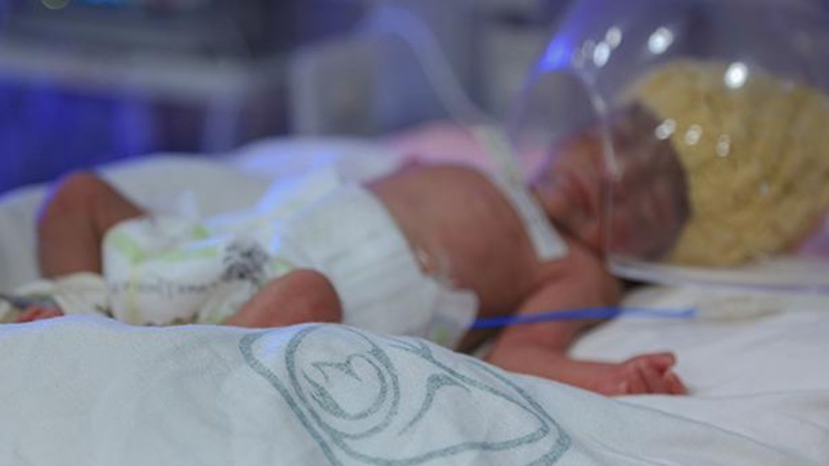 Atención neonatal IMSS para prematuros se refuerza con UCIN, tecnología ...